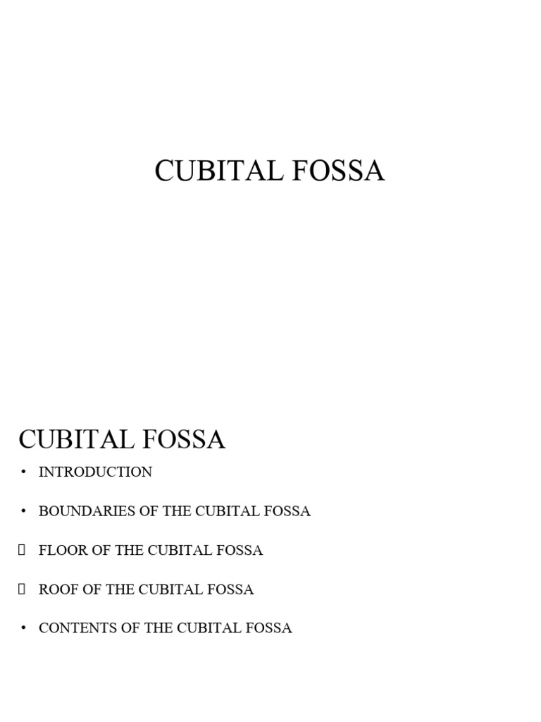 Anatomy of the Cubital Fossa | PDF