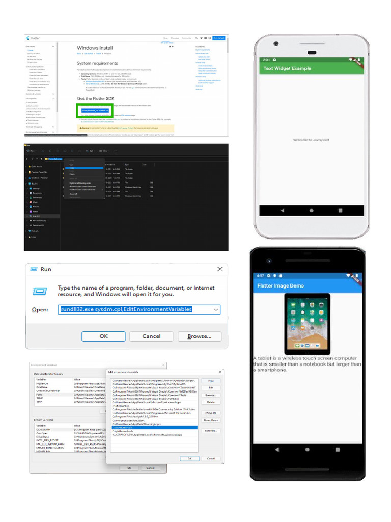Pictures Flutter | PDF