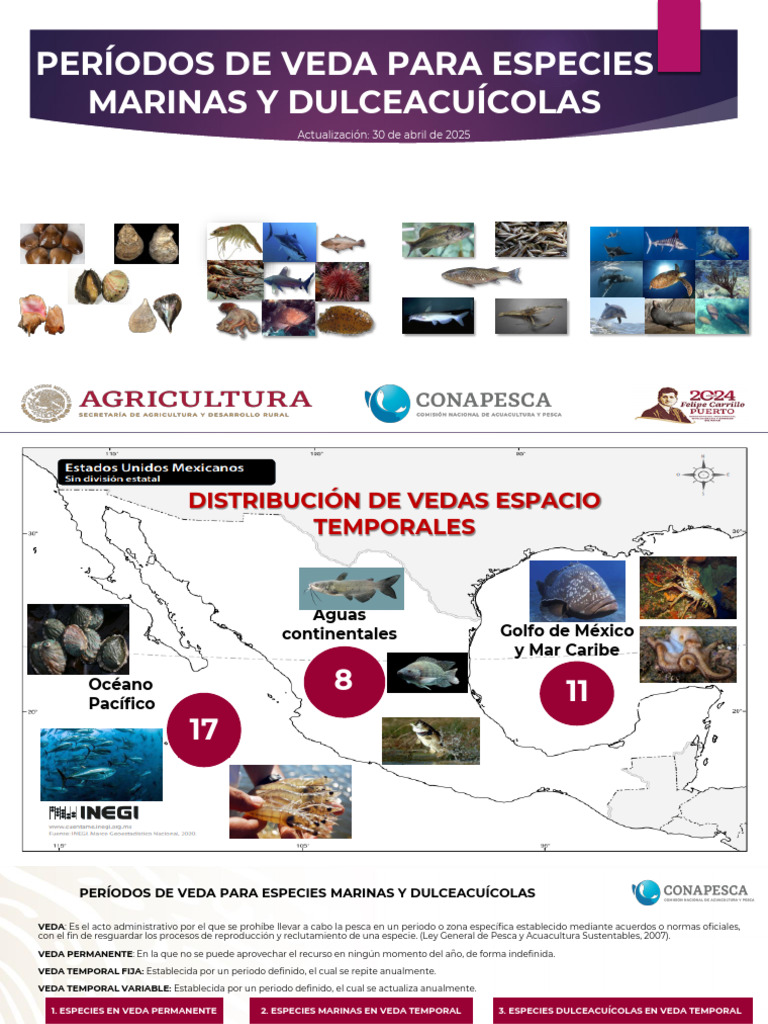Vedas de Especies Marinas 2025 | PDF | México | Campeche