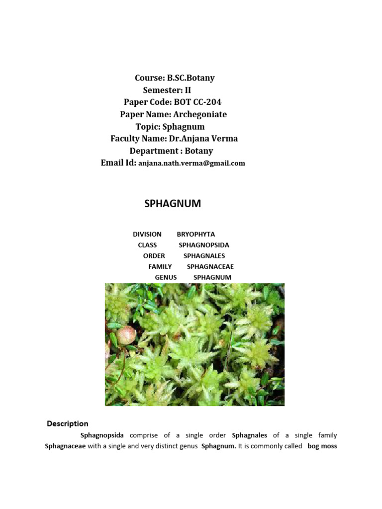 Sphagnum: Structure and Reproduction | PDF | Leaf | Moss