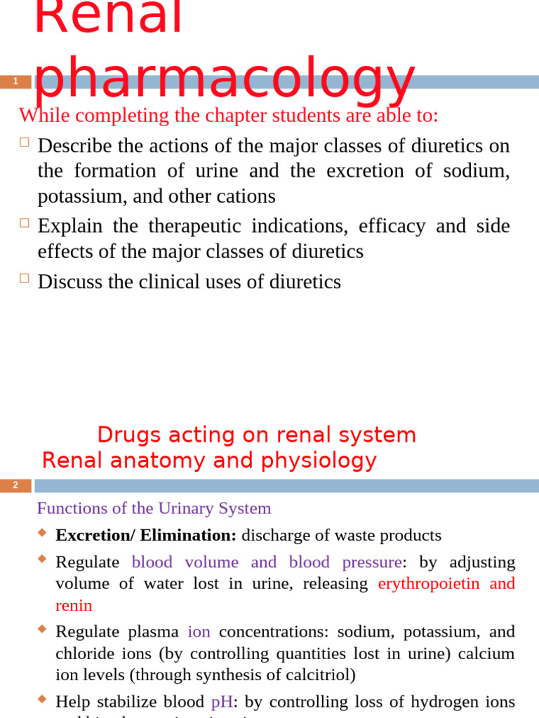 Renal System Drugs: Diuretics Overview | PDF | Kidney