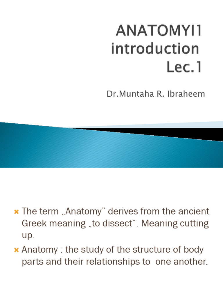 Introduction To ANATOMY Lec1 | PDF