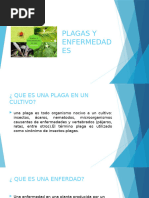 Cuento Crisantemo | PDF