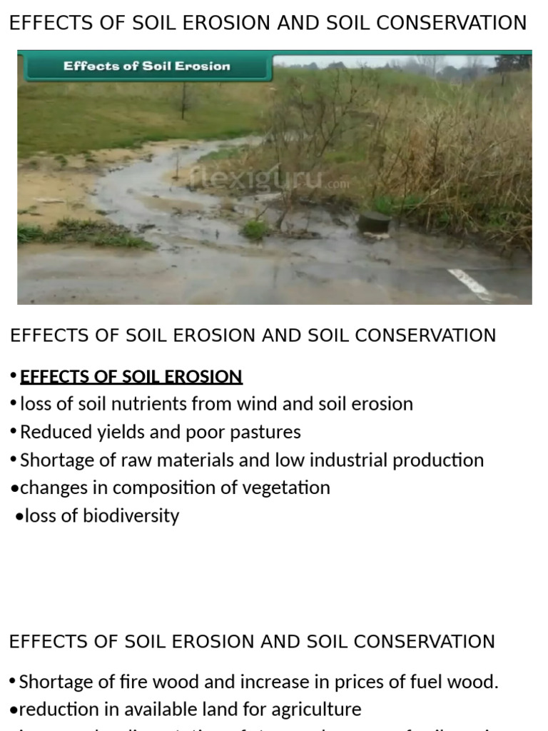 Effects of Soil Erosion and Soil Conservation | PDF | Soil | Crop Rotation