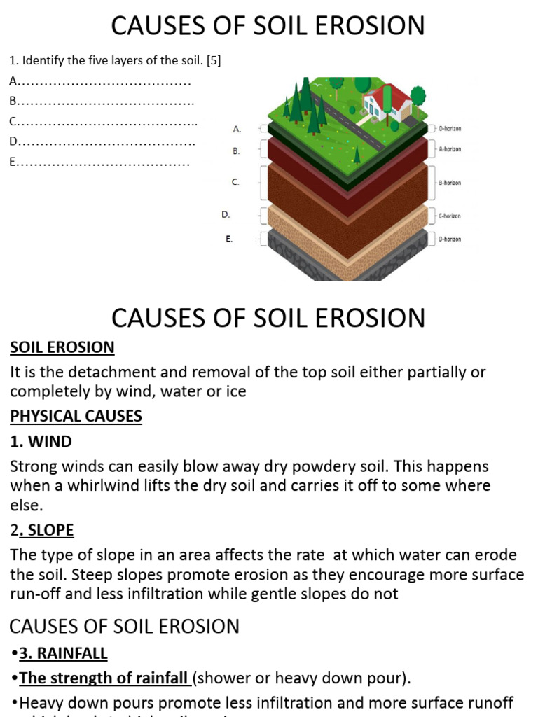 Causes of Soil Erosion | PDF | Erosion | Surface Runoff