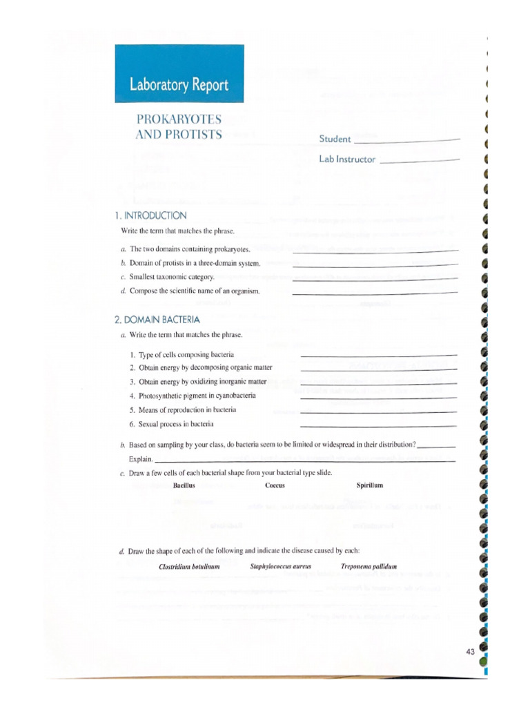 3 Prokaryotes and Protists | PDF