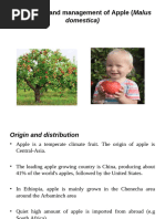 KCSE Agriculture Project Report 2025 | PDF
