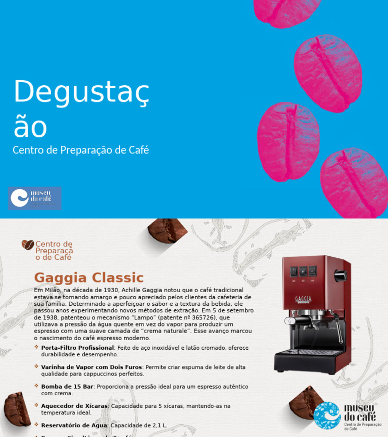 Gaggia Classic | PDF