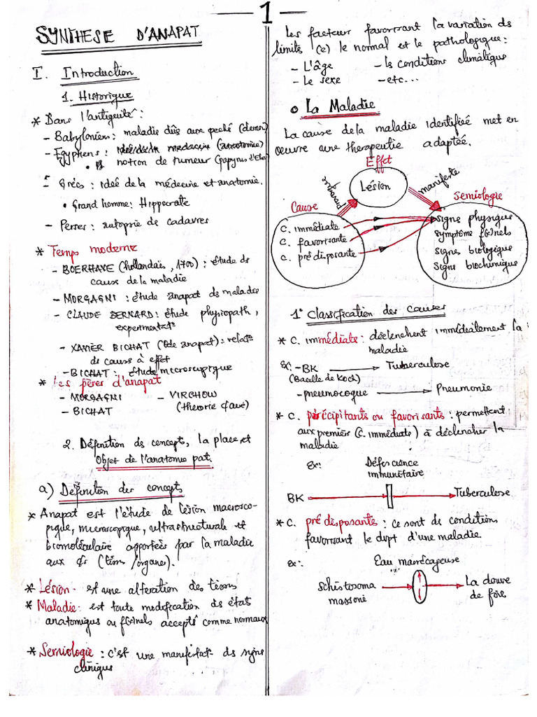Synthèse Anapath | PDF