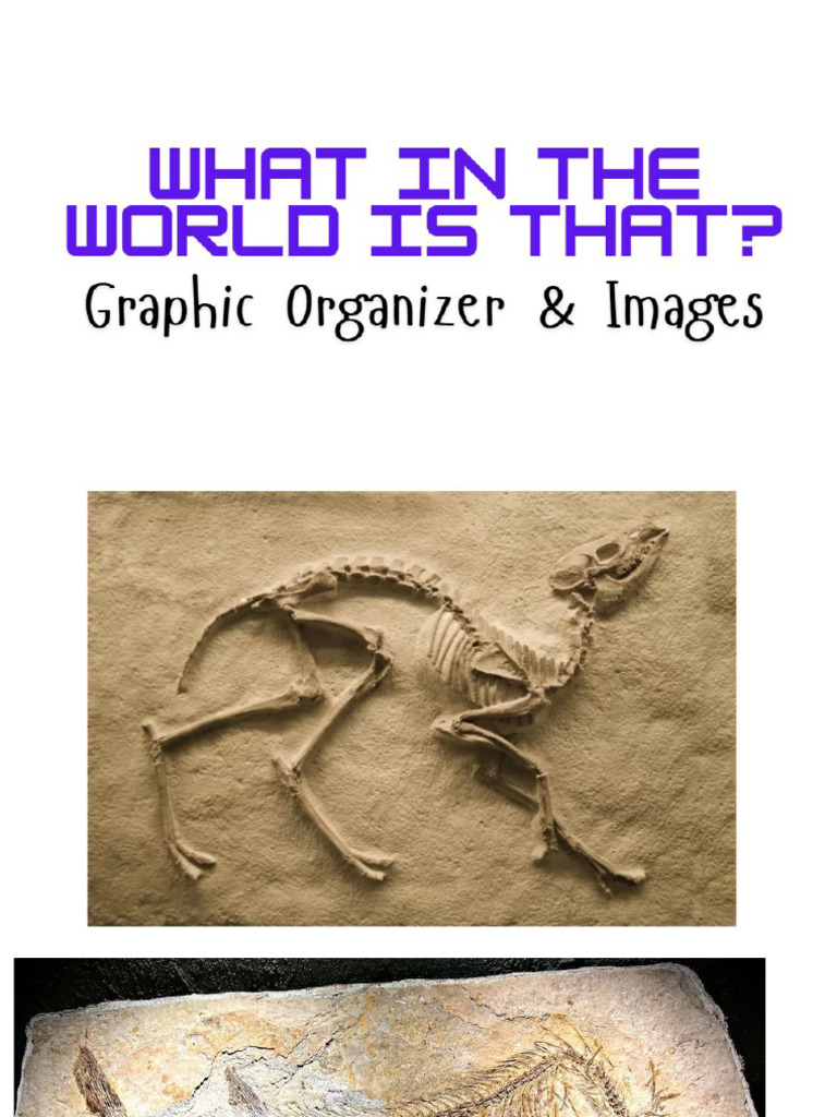 Science Mini-Critical Thinking Task 2 - Pictures To Sort | PDF