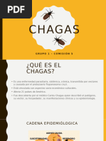 Triatominos: Vectores de Chagas | PDF | Biología