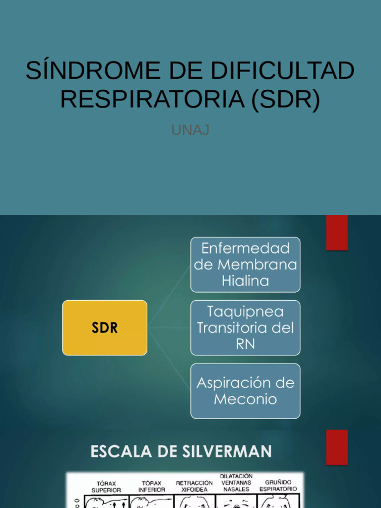 Síndrome de Dificultad Respiratoria (SDR) | PDF