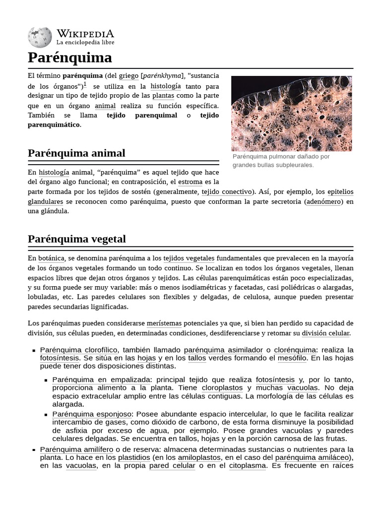 Parénquima | PDF | Tejido (biología) | Biología