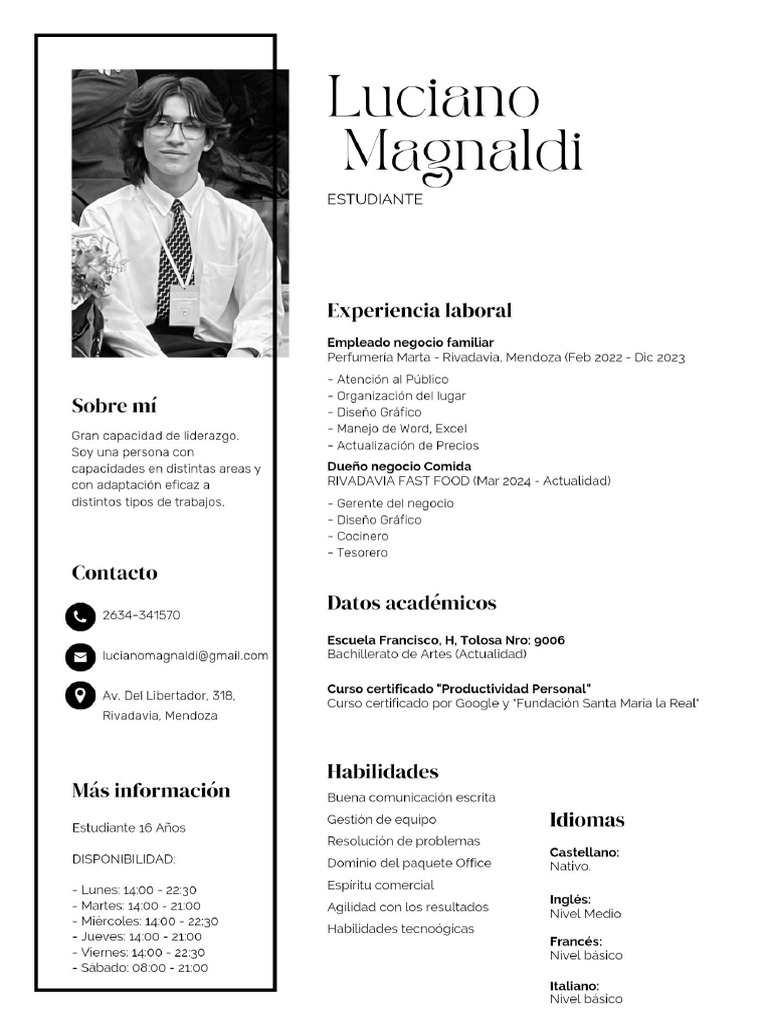 Currículum Lucho | PDF