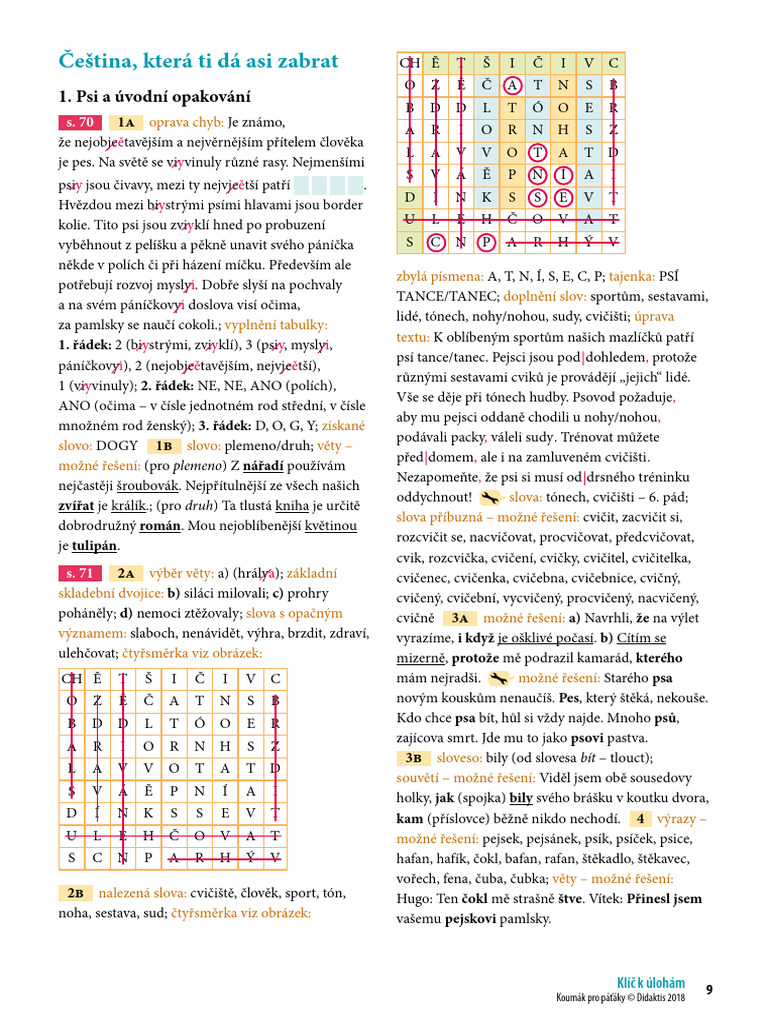 KPC Klic Cestina Web | PDF