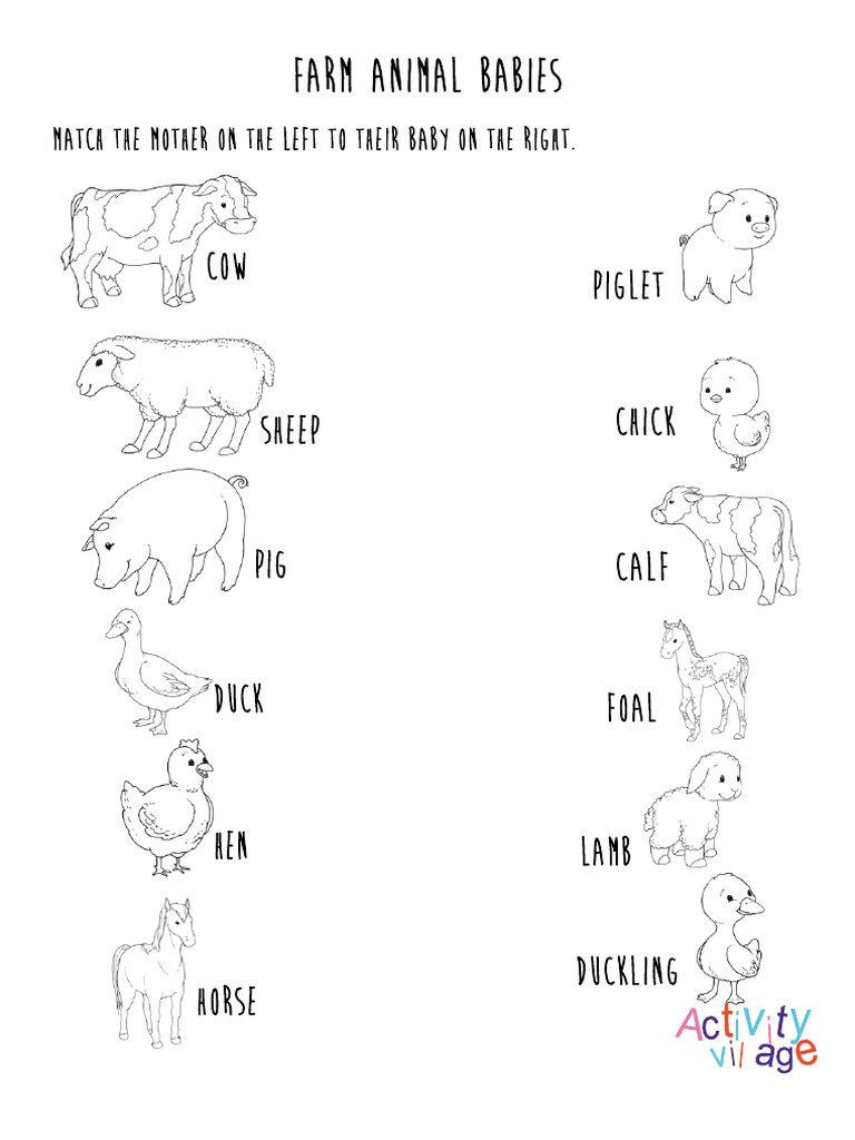 Farm Animal Babies BIG | PDF