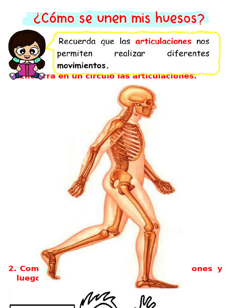 Ficha Cómo Se Unen Mis Huesos Maestra Janet | PDF