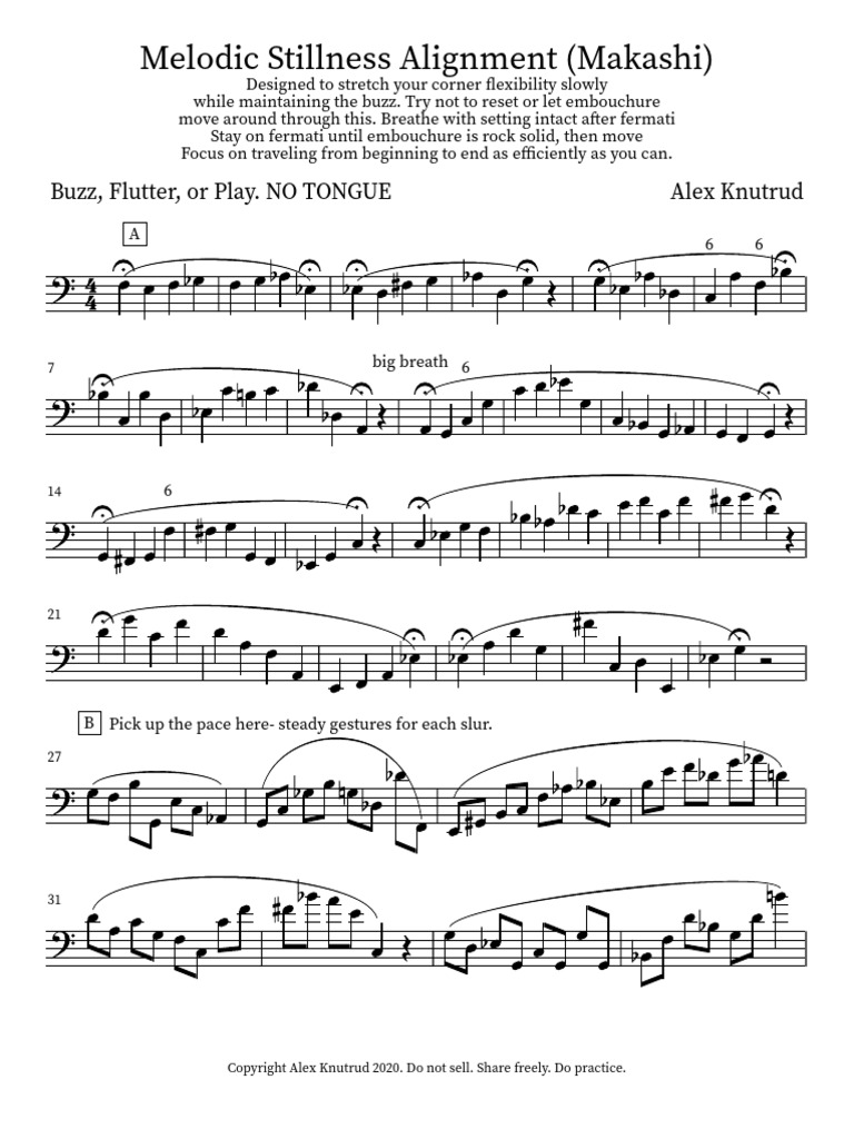 Melodic Stillness Alignment (Makashi) | PDF