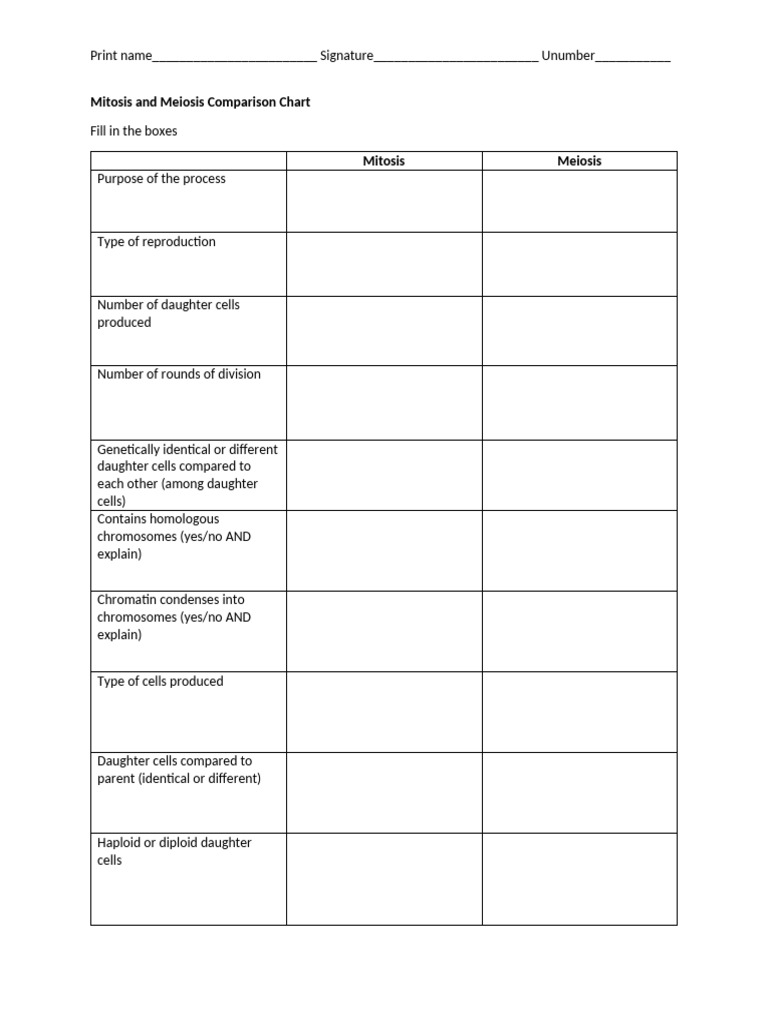 Mitosis vs Meiosis Comparison Chart | PDF