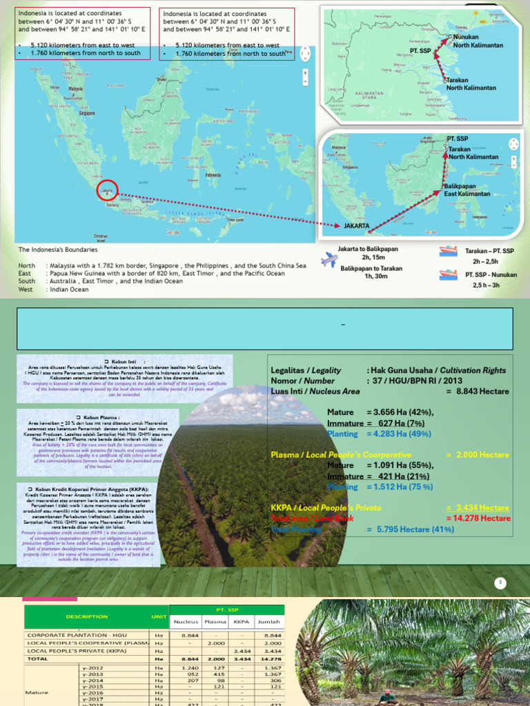 SSP - Company Profile - Sep2024 | PDF | Indonesia | Agriculture