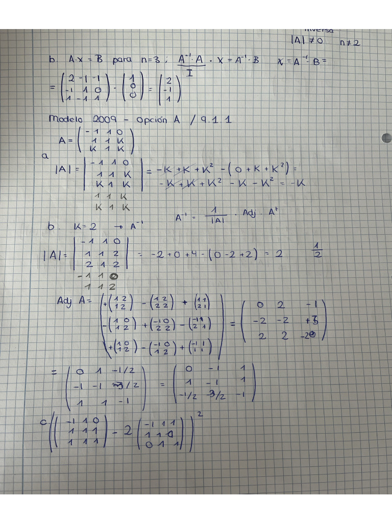 Matrices Ejercicio Evau | PDF
