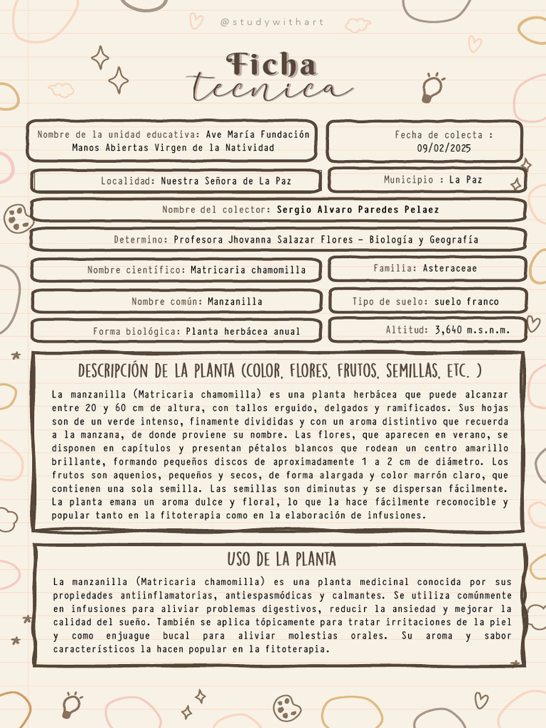 Ficha Tecnica Segio | PDF