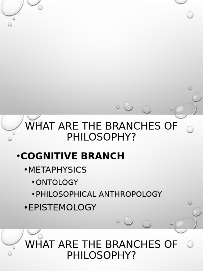 Lesson 3 - Philosophical Tools and Processs | PDF | Reason | Argument