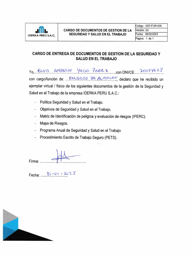 Cargo Entrega Risst V5 - Elvis Yachi | PDF