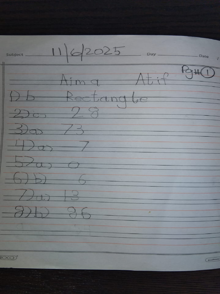 Aima Atif Maths Exam Final | PDF