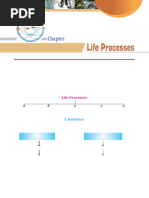 Class 10 Science Chapter 6 Life Processes Notes | PDF
