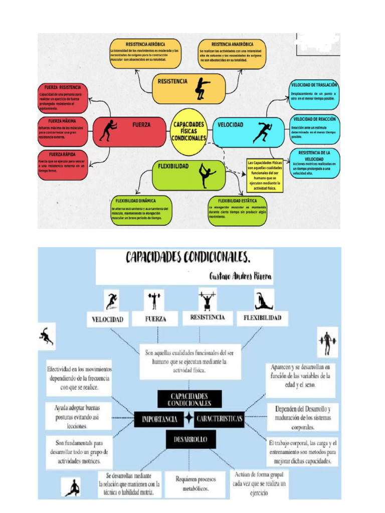 Mapas Conceptuales | PDF