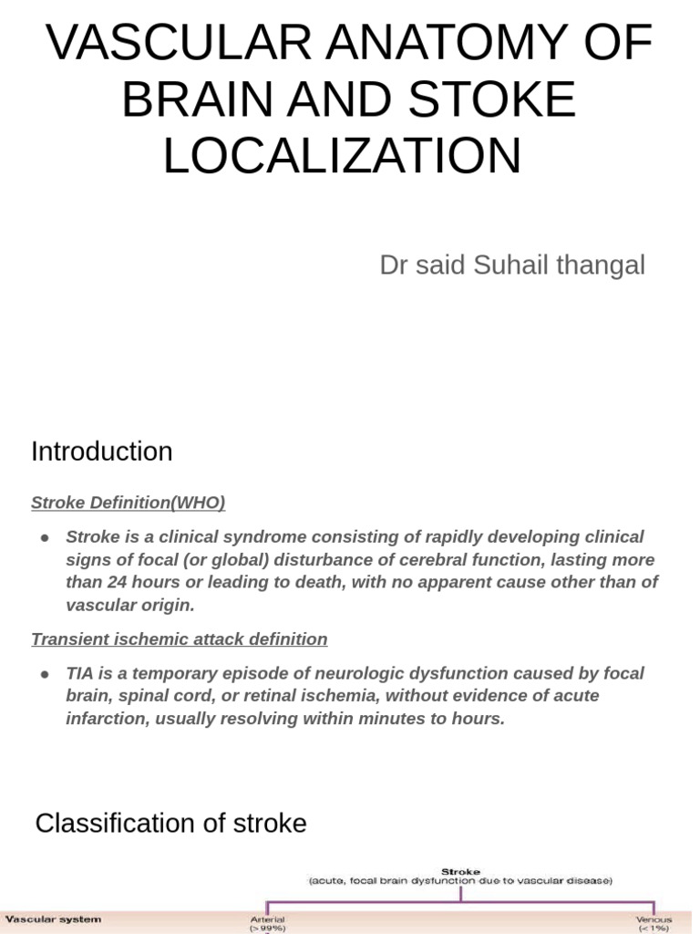 Stroke Localization | PDF | Dyslexia | Stroke