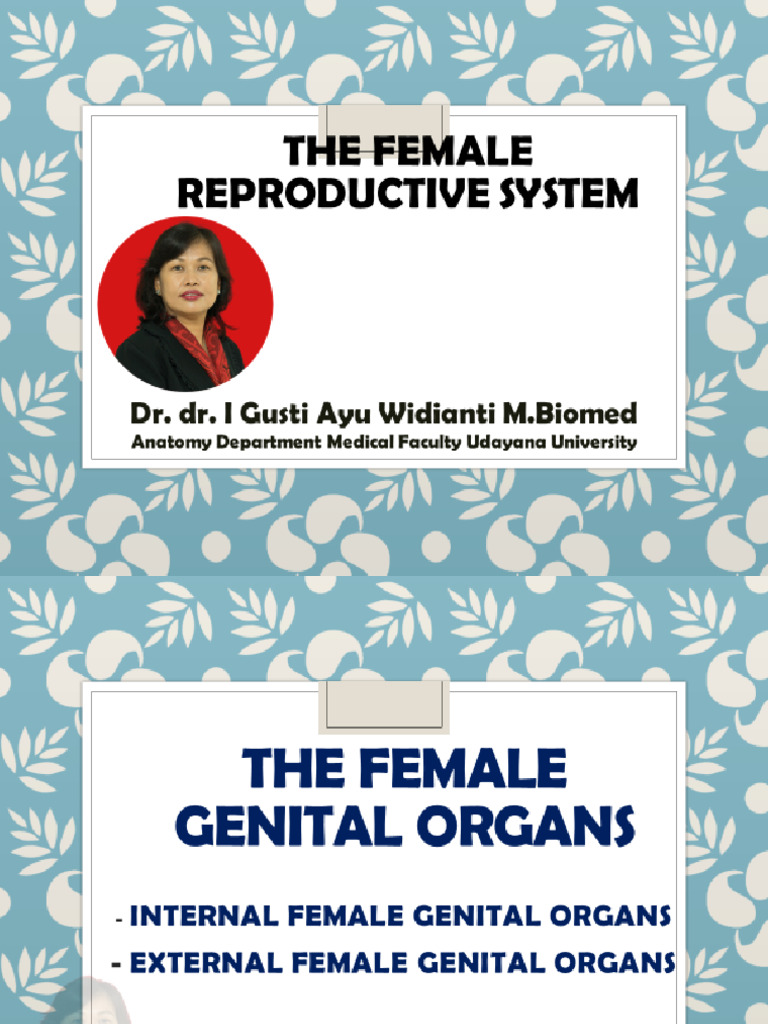Anatomi dan Jenis Pelvis Manusia | PDF