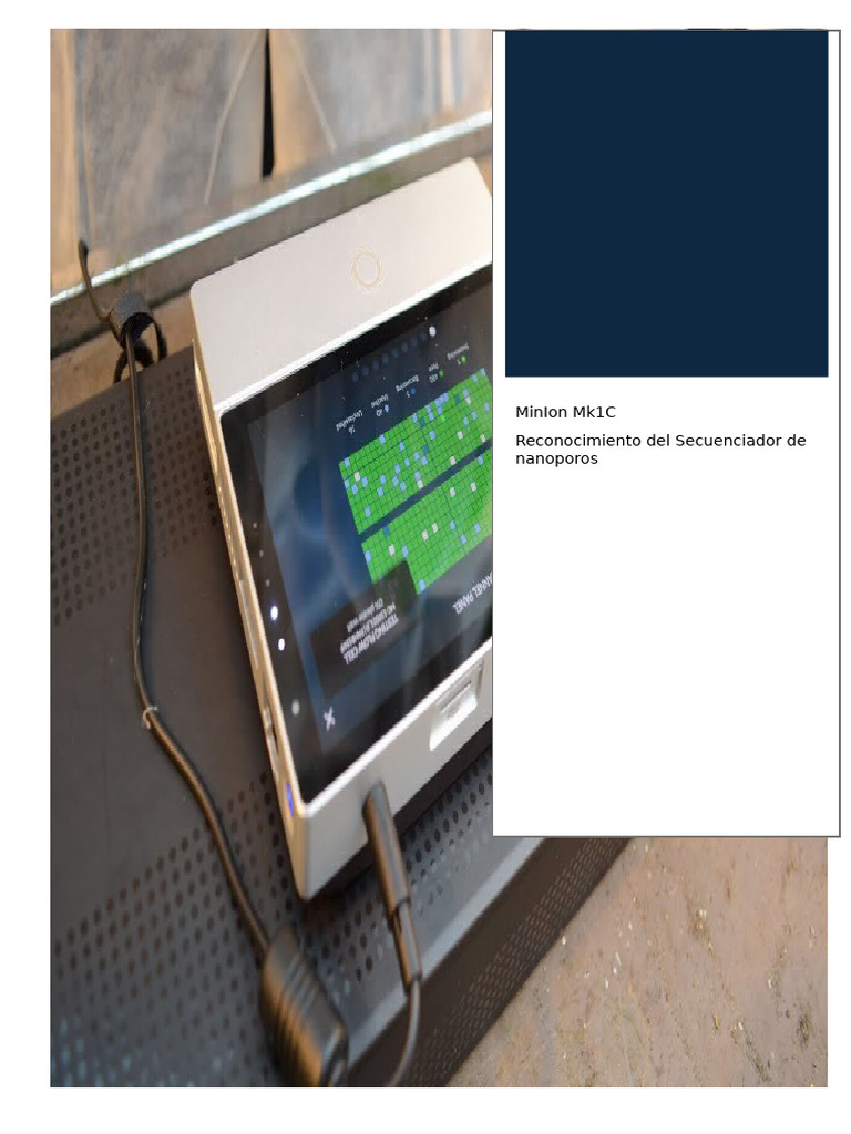 Reconocimiento del MinIon Mk1C | PDF | Adn | Secuencia ADN