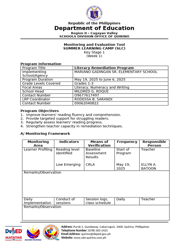 Literacy Remediation Program Overview | PDF | Reading Comprehension ...