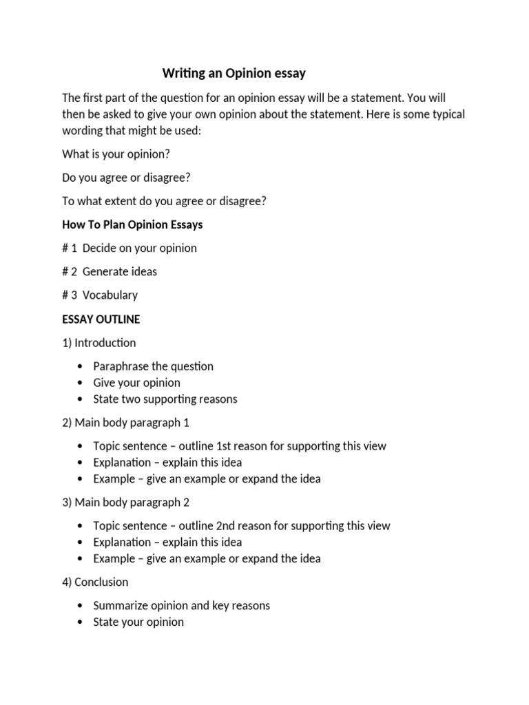 Opinion Essay | PDF