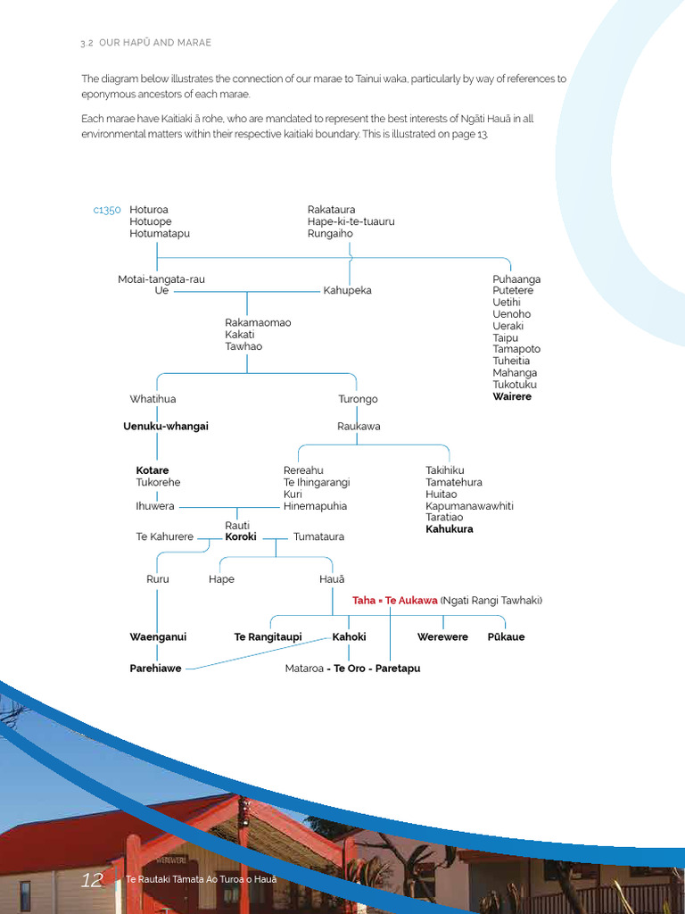 Ngati Haua Environmental Management Plan | PDF | Māori | Indigenous Peoples Of Polynesia