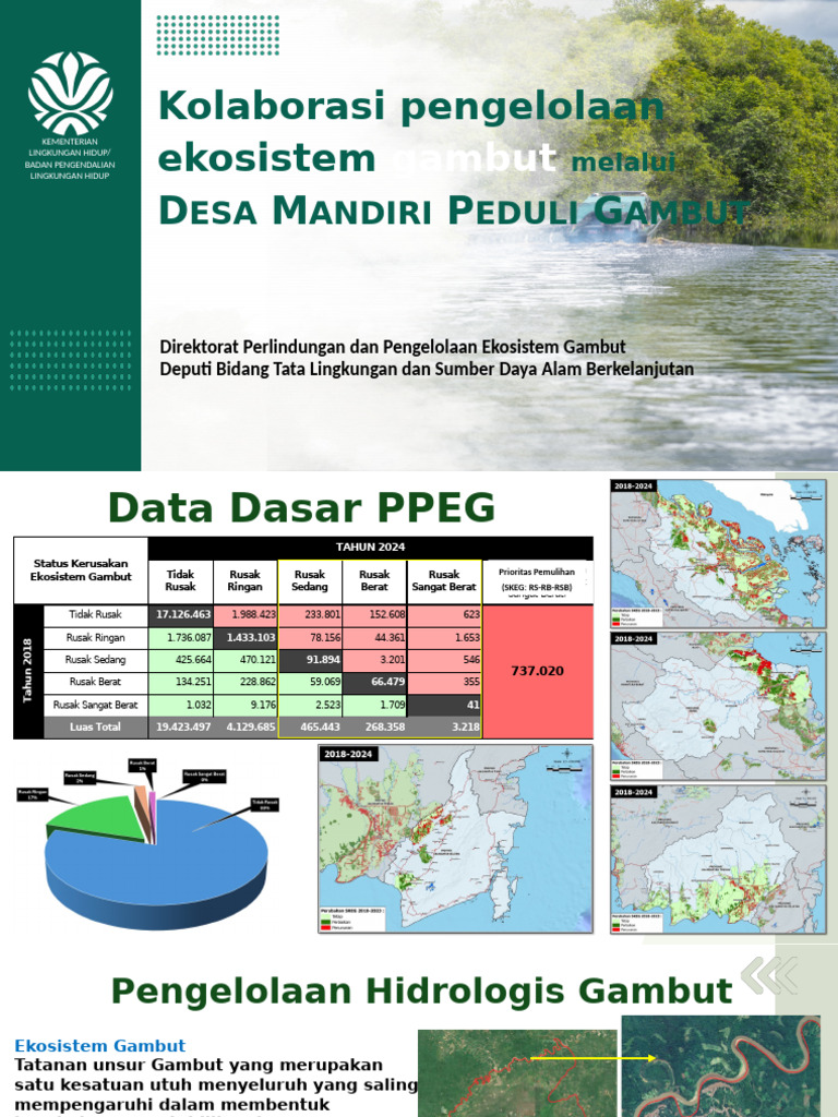 Program DMPG untuk Ekosistem Gambut | PDF