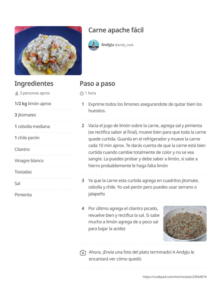 Carne Apache Fácil Receta de AndyJu - Cookpad | PDF