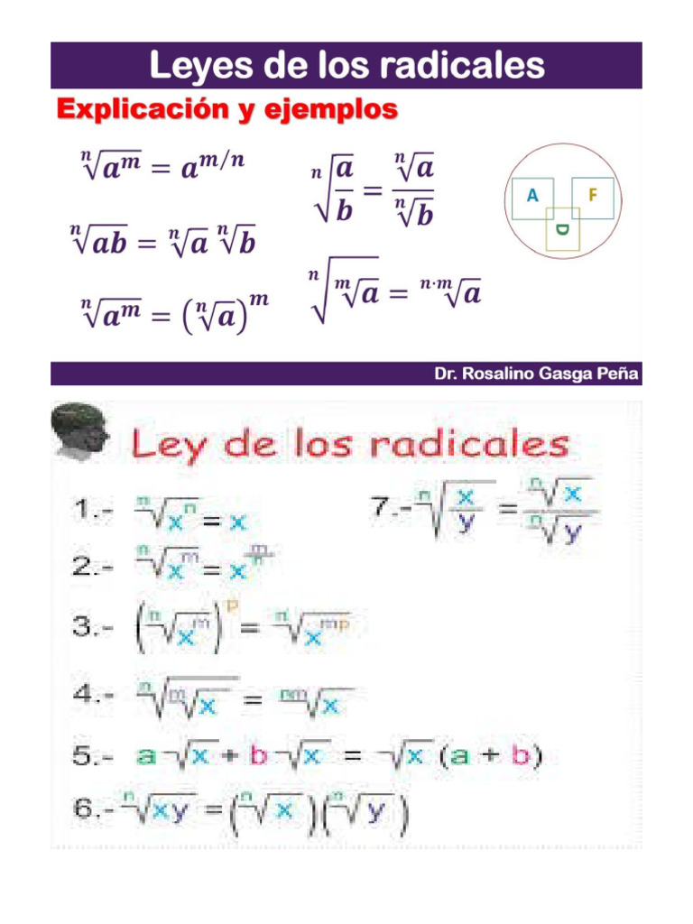 Ley de Los Radicales | PDF