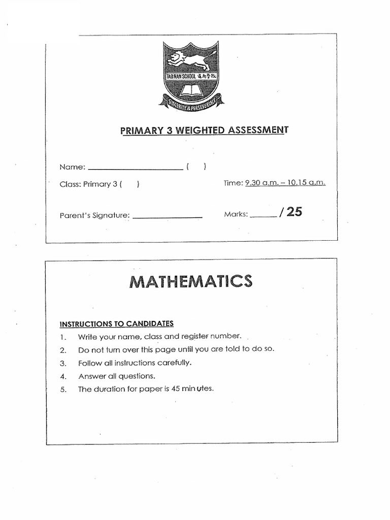 P3 Maths WA3 2024 TaoNan Exam Papers | PDF