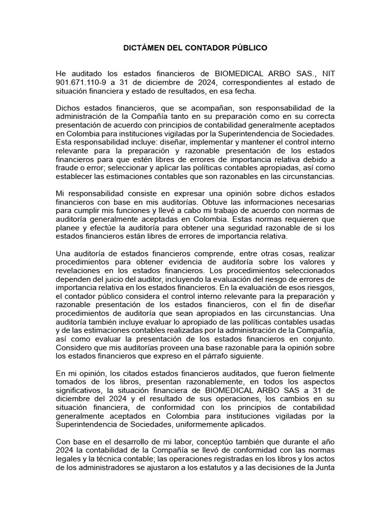 Dictamen Arbo 2024 | PDF | Auditoría | Estado financiero