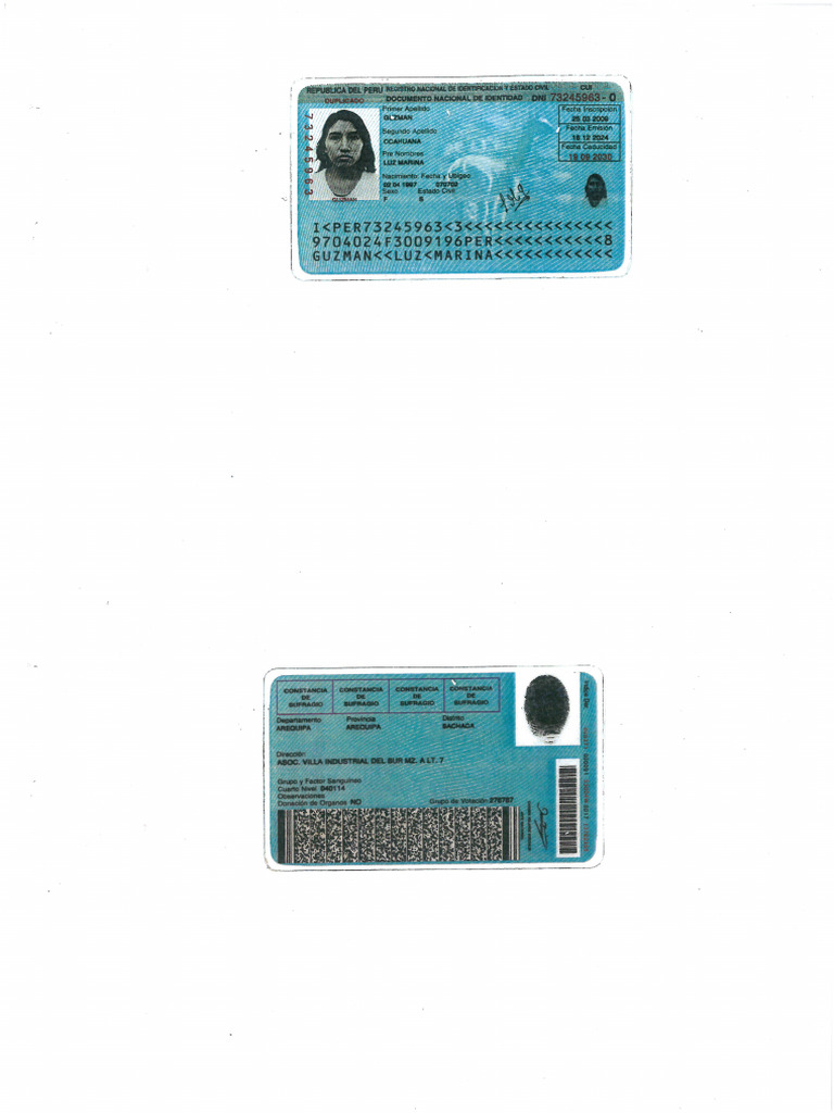 SCS - Food 25060319520 | PDF