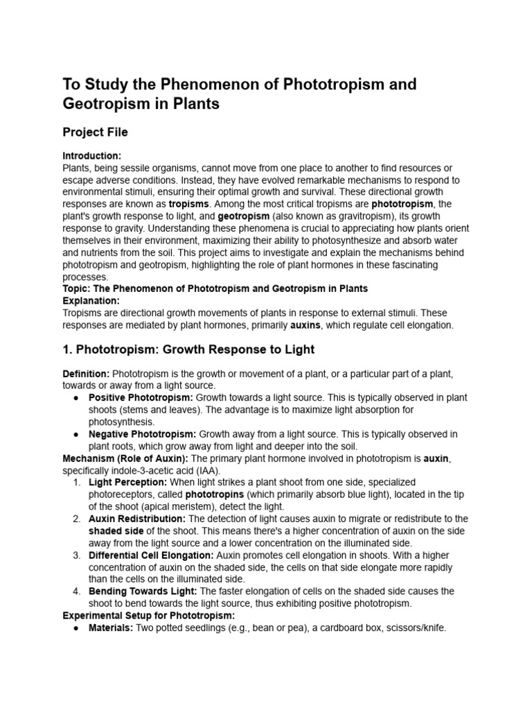 Exploring Plant Tropisms: Light and Gravity | PDF | Root | Auxin