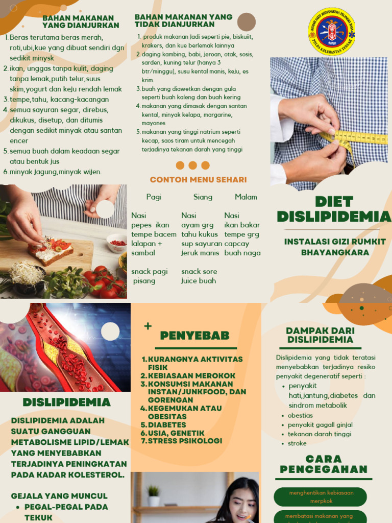 Leaflet Dislipidemia | PDF