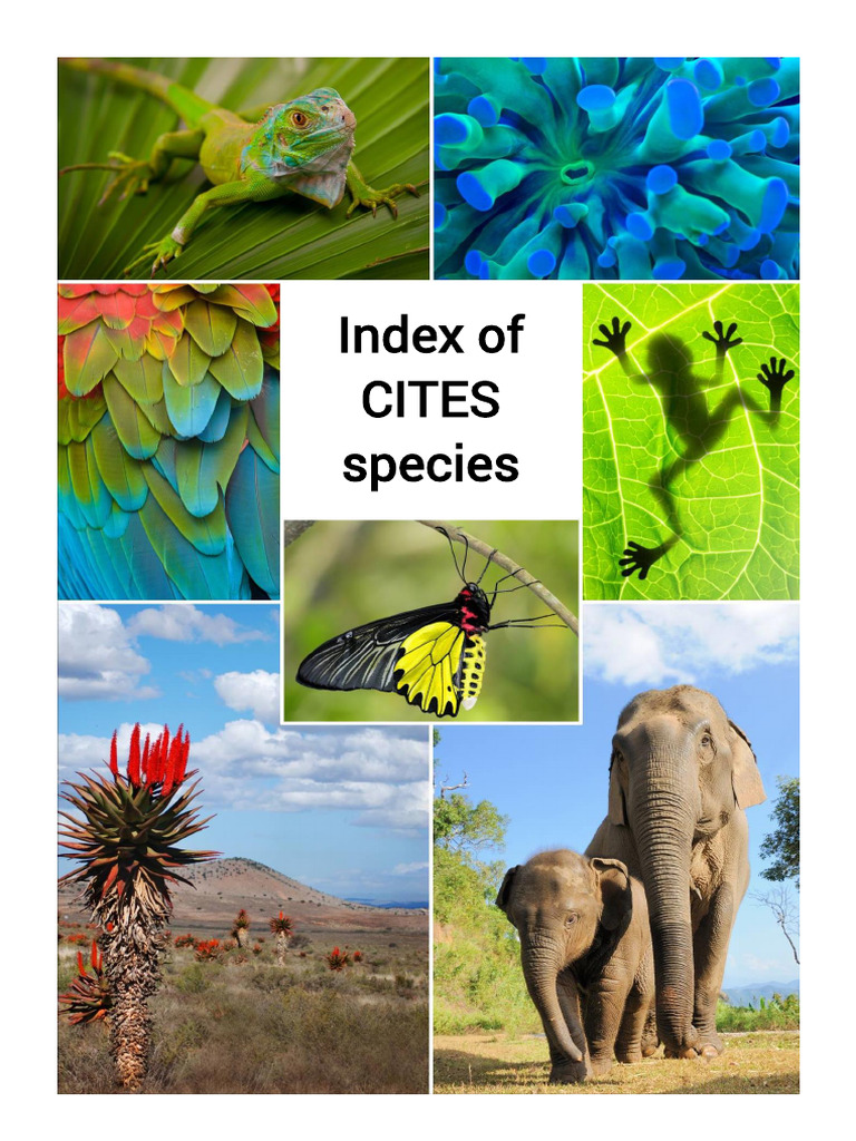 CITES Species Index and Checklist | PDF | Cites | United Nations ...