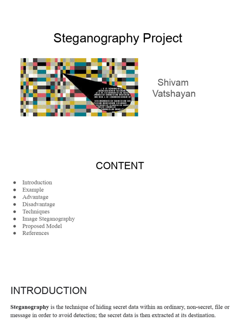 Steganography Project | PDF | Espionage Techniques | Computing