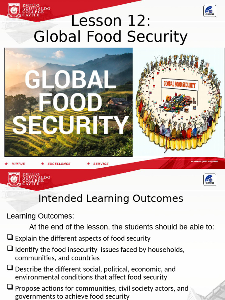Understanding Global Food Security Issues | PDF | Food Security ...