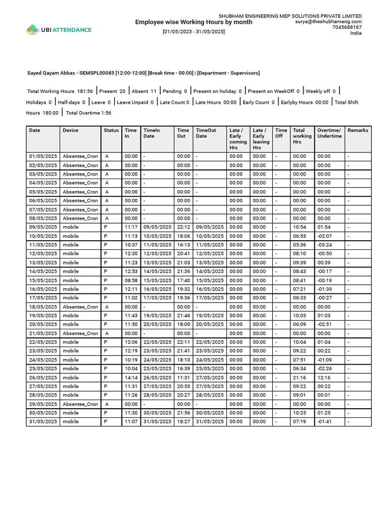 Sayed Qayam Sbbas Employee Wise Working Hours by Month | PDF | Employee ...