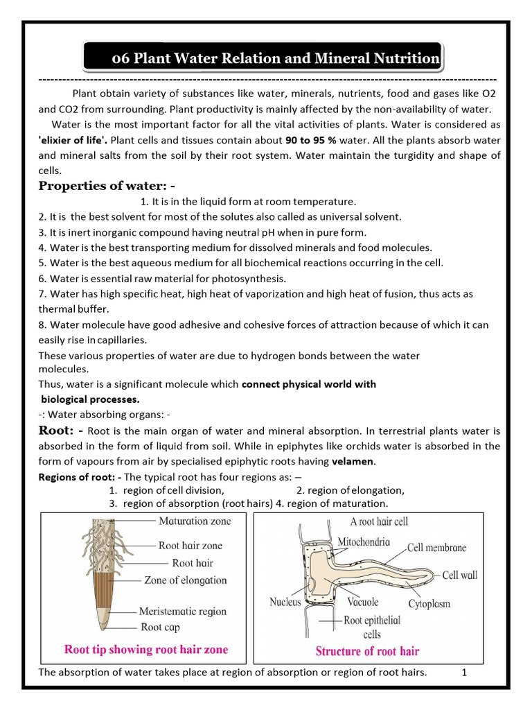 Plant Water Relation (1) NSJSJNWN | PDF | Osmosis | Stoma
